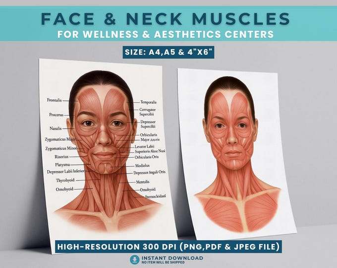 Muscles of the Face and Neck | Botox & Filler Injector | Anatomy ...