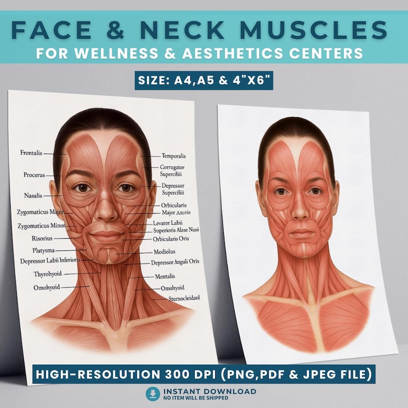 Botox Face Muscle Poster - Etsy