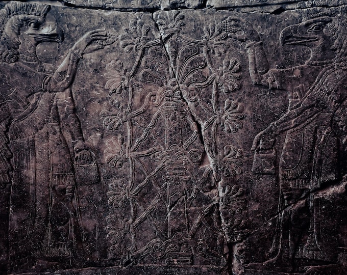 Sumerian Demons/genies Tend to the Tree of Life. Digital Download ...