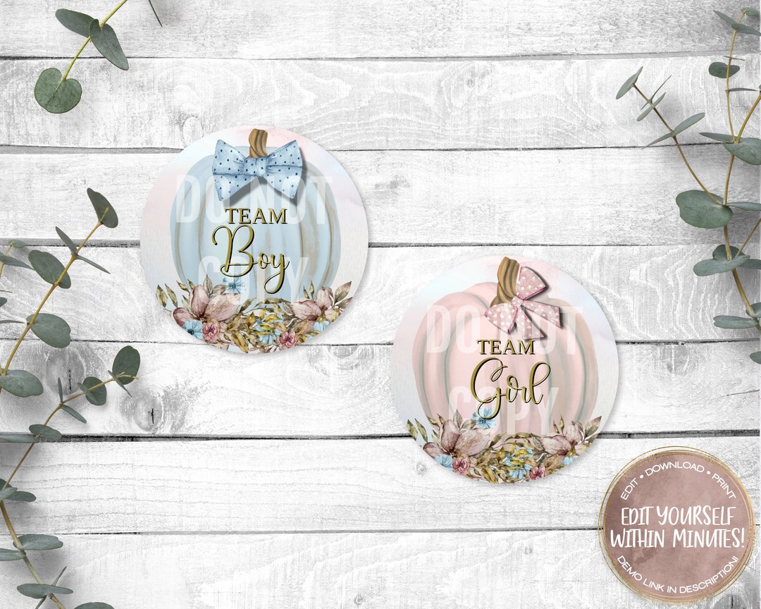 Team Boy Team Girl Stickers, Floral Pumpkins, Gender Reveal, Baby ...