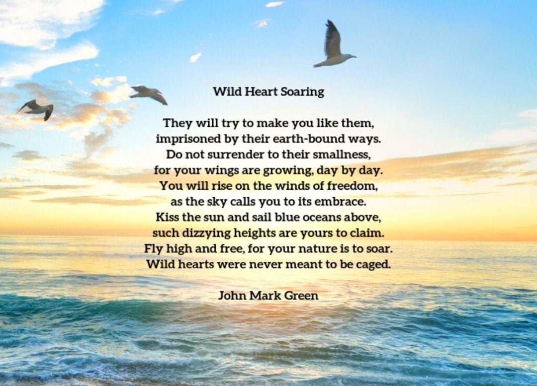 Domestic Violence Survivor Inspirational Quotes Gifts Wild Heart ...