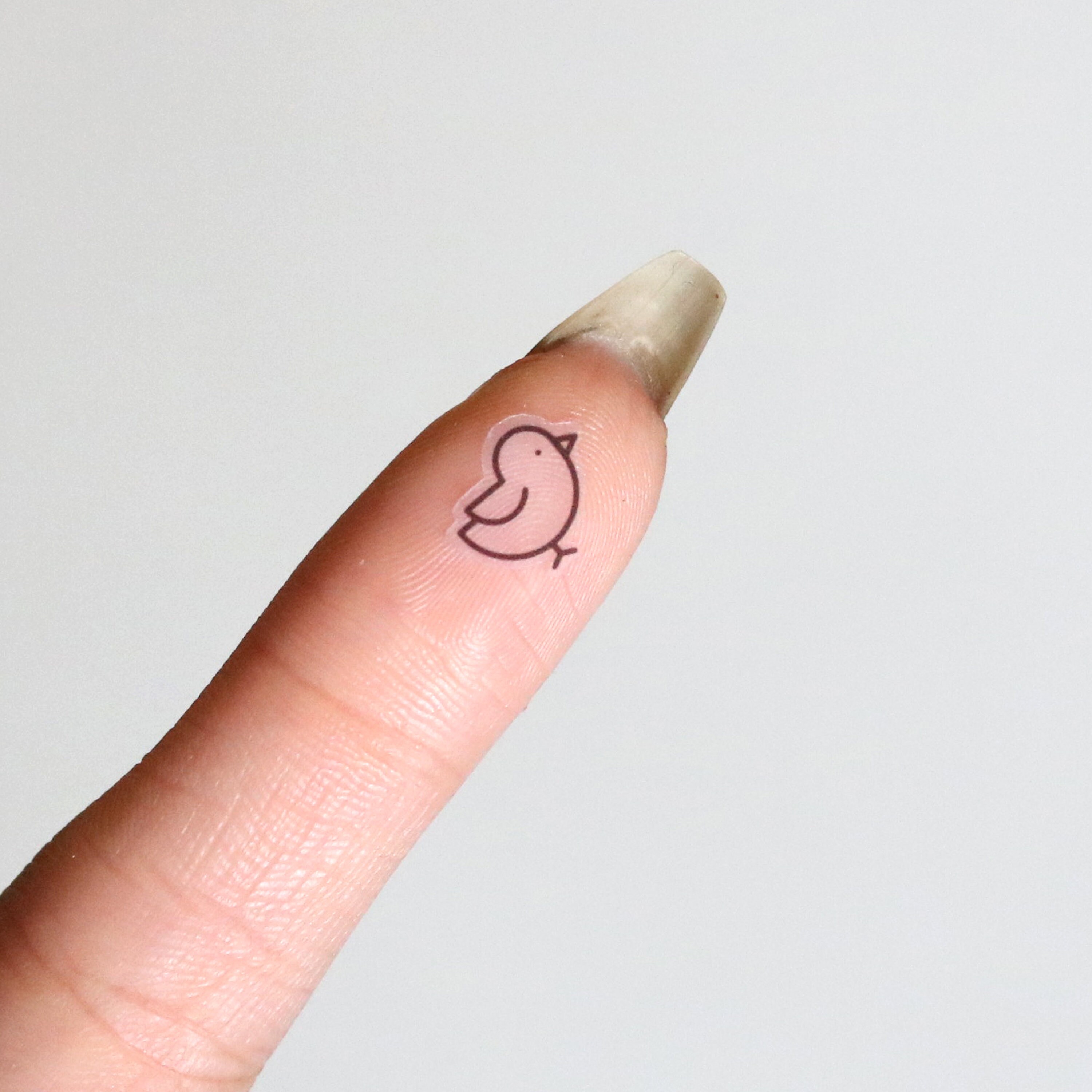 Chick Stickers Clear Stickers Bullet Points Popular - Etsy