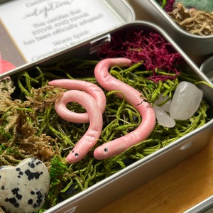 Adopt a Worm, Snail, Snake or Slug/ Adopt a Pet / Pet Worm / Earthworm ...