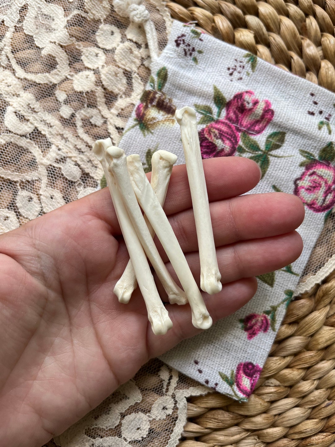 Mini Travel Bone Throwing Set Yes or No / Crystals / Animal Bones ...