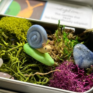 Adopt a Worm, Snail, Snake or Slug/ Adopt a Pet / Pet Worm / Earthworm ...