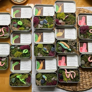 Adopt a Worm, Snail, Snake or Slug/ Adopt a Pet / Pet Worm / Earthworm ...