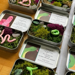 Adopt a Worm, Snail, Snake or Slug/ Adopt a Pet / Pet Worm / Earthworm ...