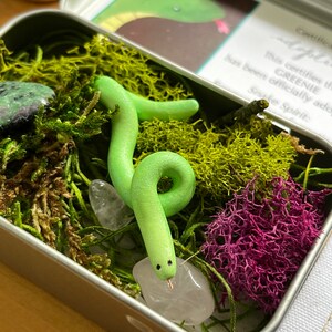 Adopt a Worm, Snail, Snake or Slug/ Adopt a Pet / Pet Worm / Earthworm ...