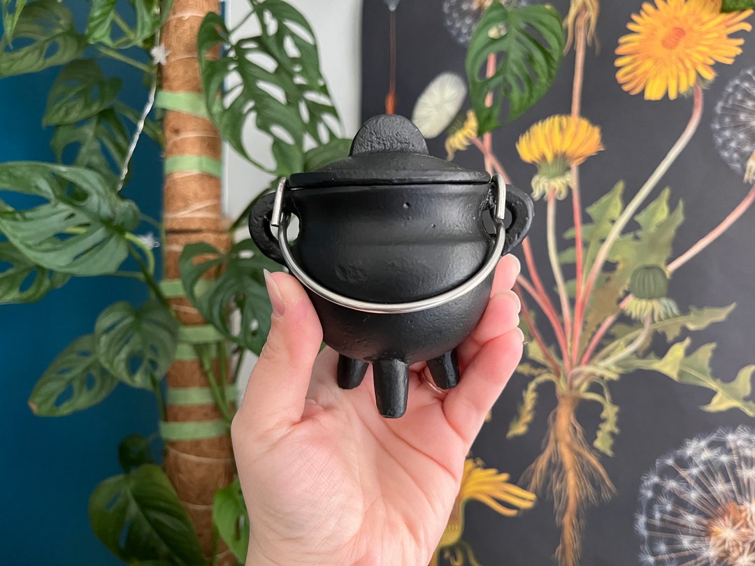 Mini Cauldron / Cast Iron Cauldron / Dried Herbs / Dried Flowers ...