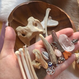 Large Bone Throwing Set / Crystals / Animal Bones / Sea Shells / Witchy ...