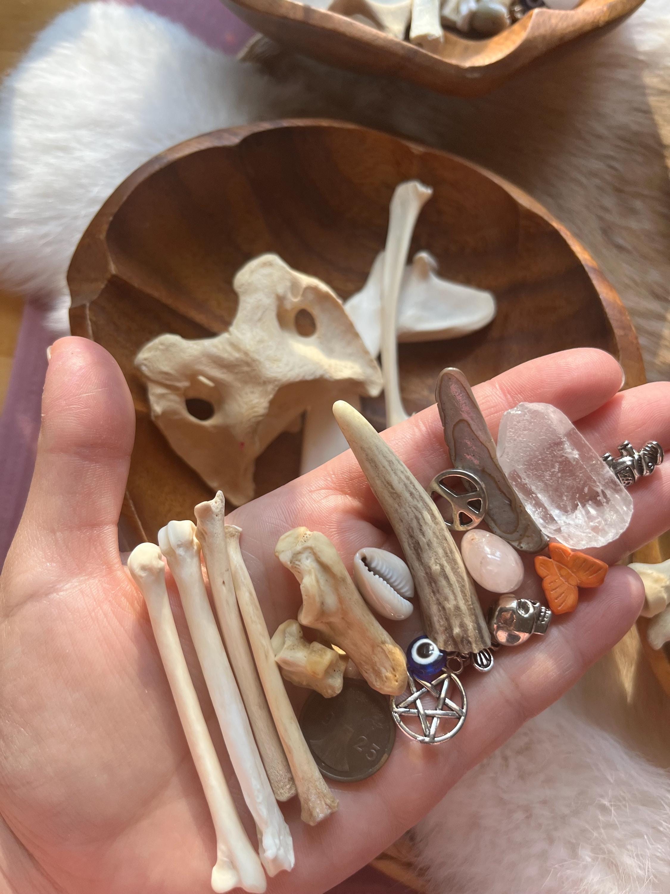 Large Bone Throwing Set / Crystals / Animal Bones / Sea Shells / Witchy ...