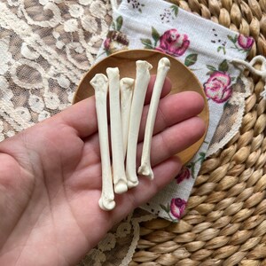 Mini Travel Bone Throwing Set Yes or No / Crystals / Animal Bones / Osteomancy / Bone Reading ...