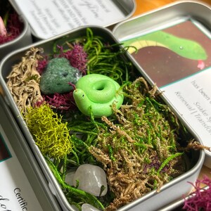 Adopt a Worm, Snail, Snake or Slug/ Adopt a Pet / Pet Worm / Earthworm ...