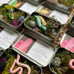 Adopt a Worm, Snail, Snake or Slug/ Adopt a Pet / Pet Worm / Earthworm ...