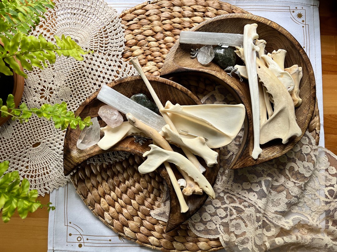 Large Bone Throwing Set With Crescent Moon Dish / Crystals / Animal ...