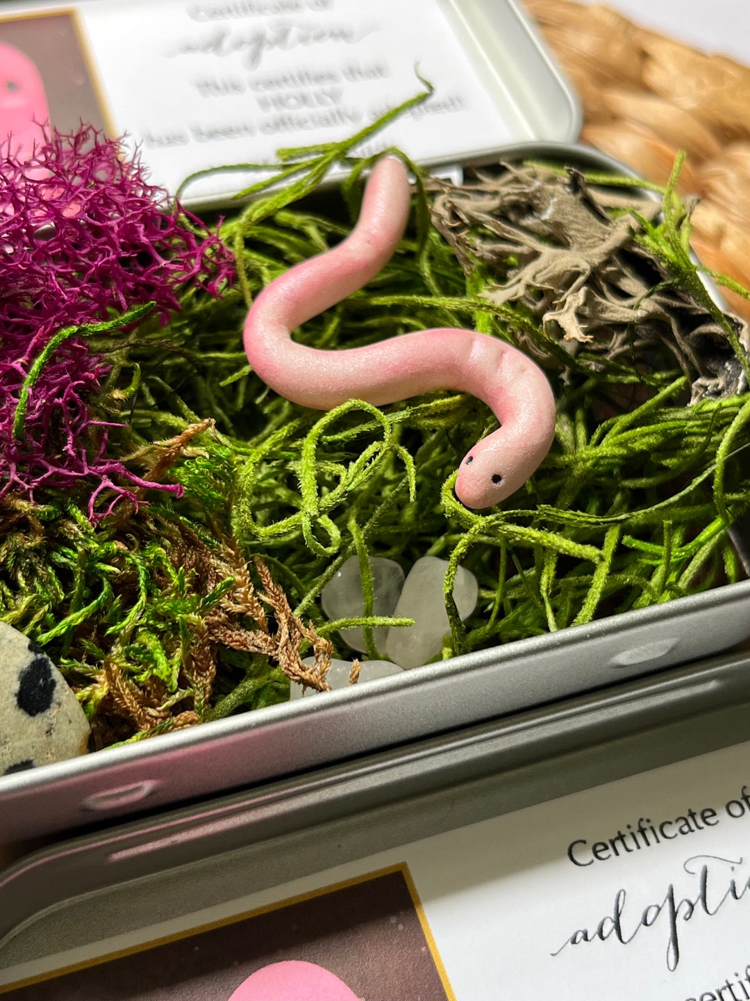 Adopt a Worm, Snail, Snake or Slug/ Adopt a Pet / Pet Worm / Earthworm ...