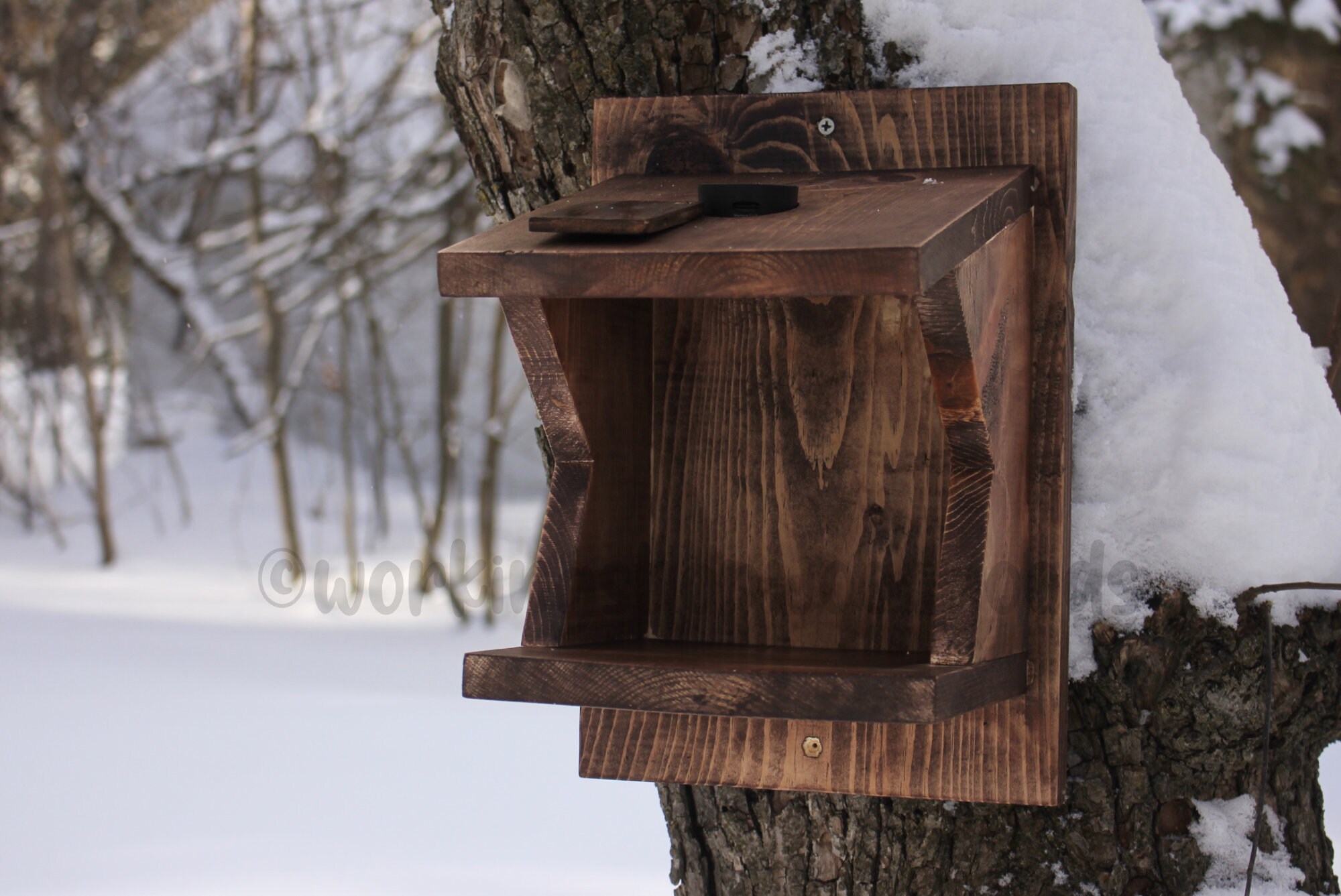 Bird Shelf With HD CAMERA Nesting Box Robin Nest Box Birdhouse With ...