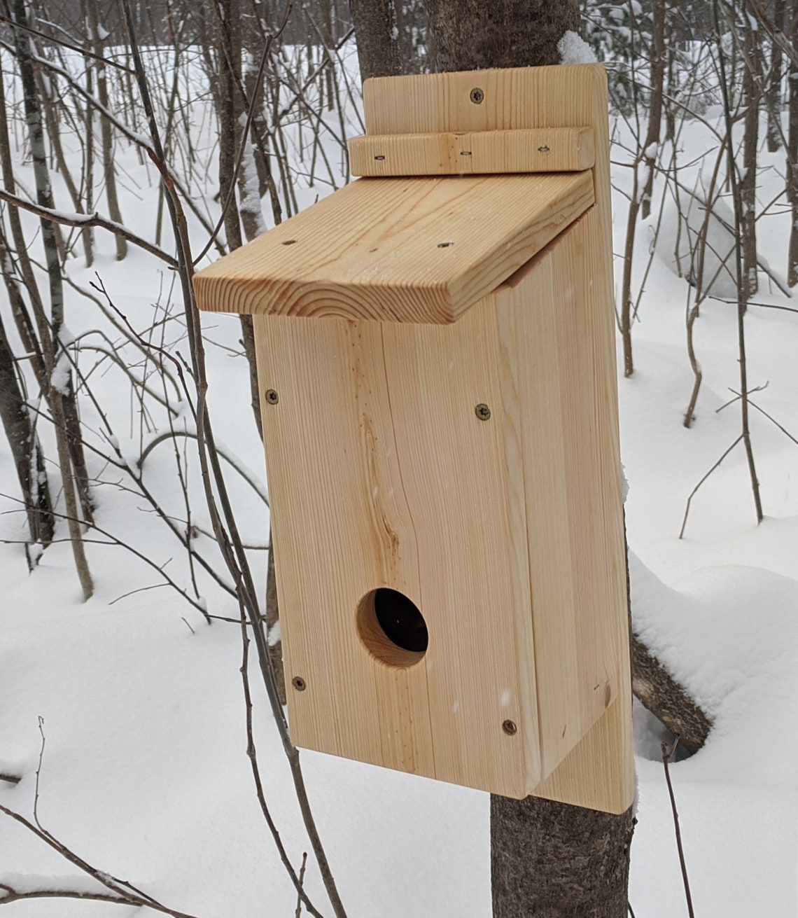 Roosting Box - Winter Roost Box - Nesting Box - Bluebird Birdhouse ...