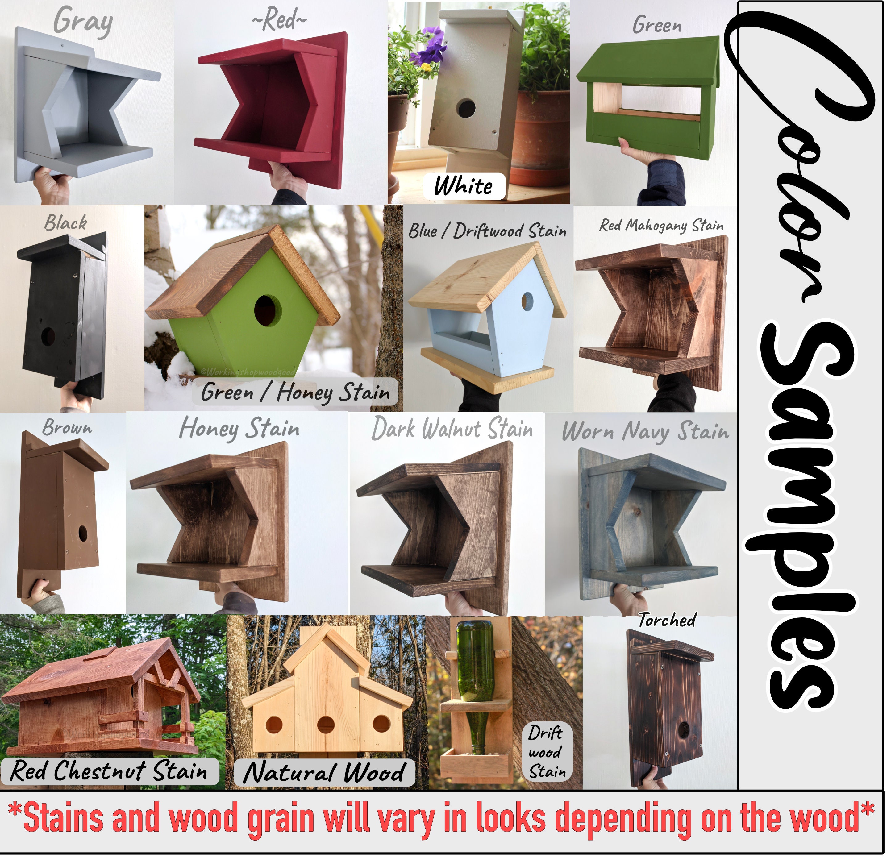 Bird Shelf Nesting Box Eastern Phoebe American Robin Mourning Dove - Etsy