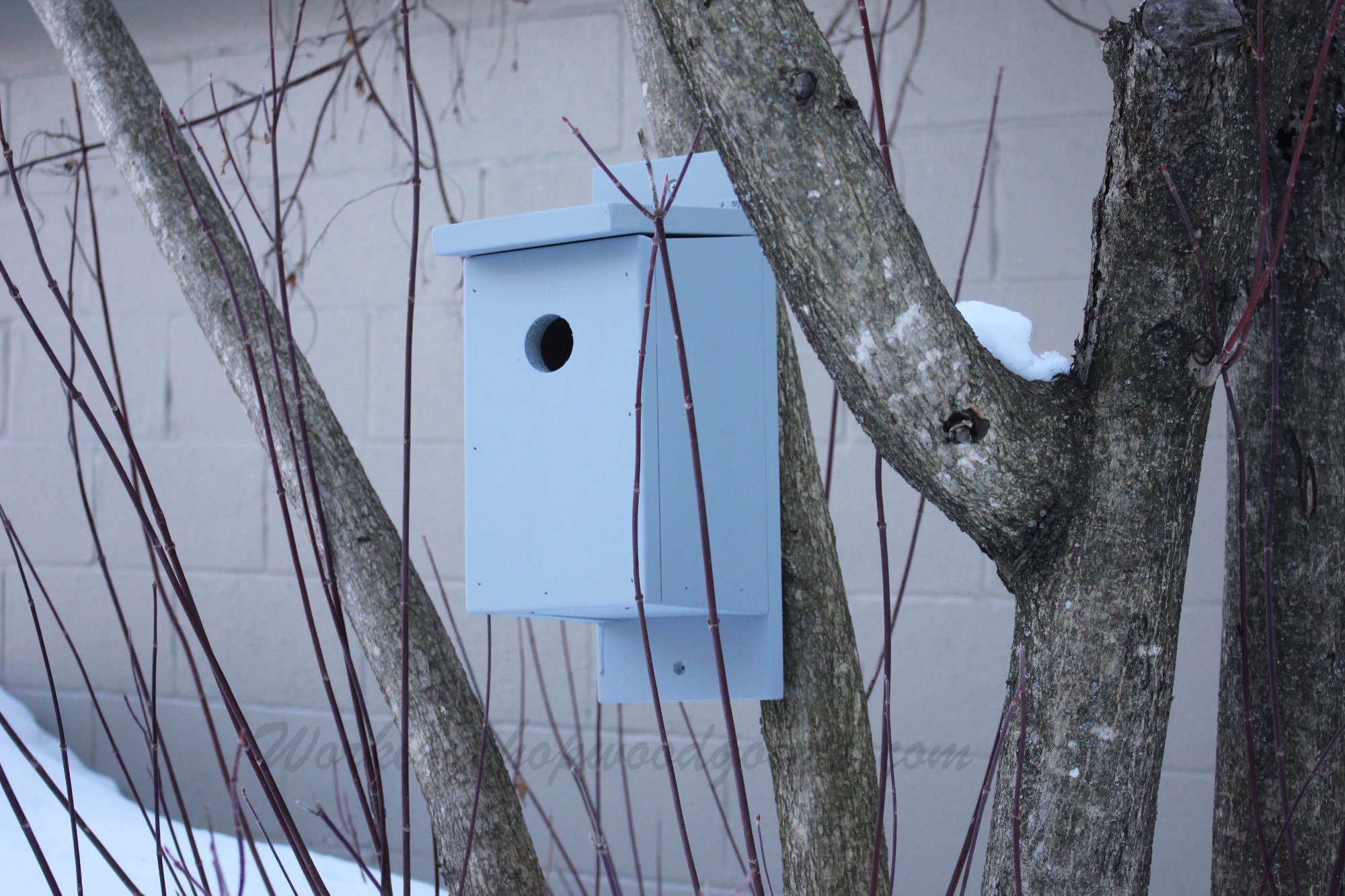 Western Bluebird Nest Box