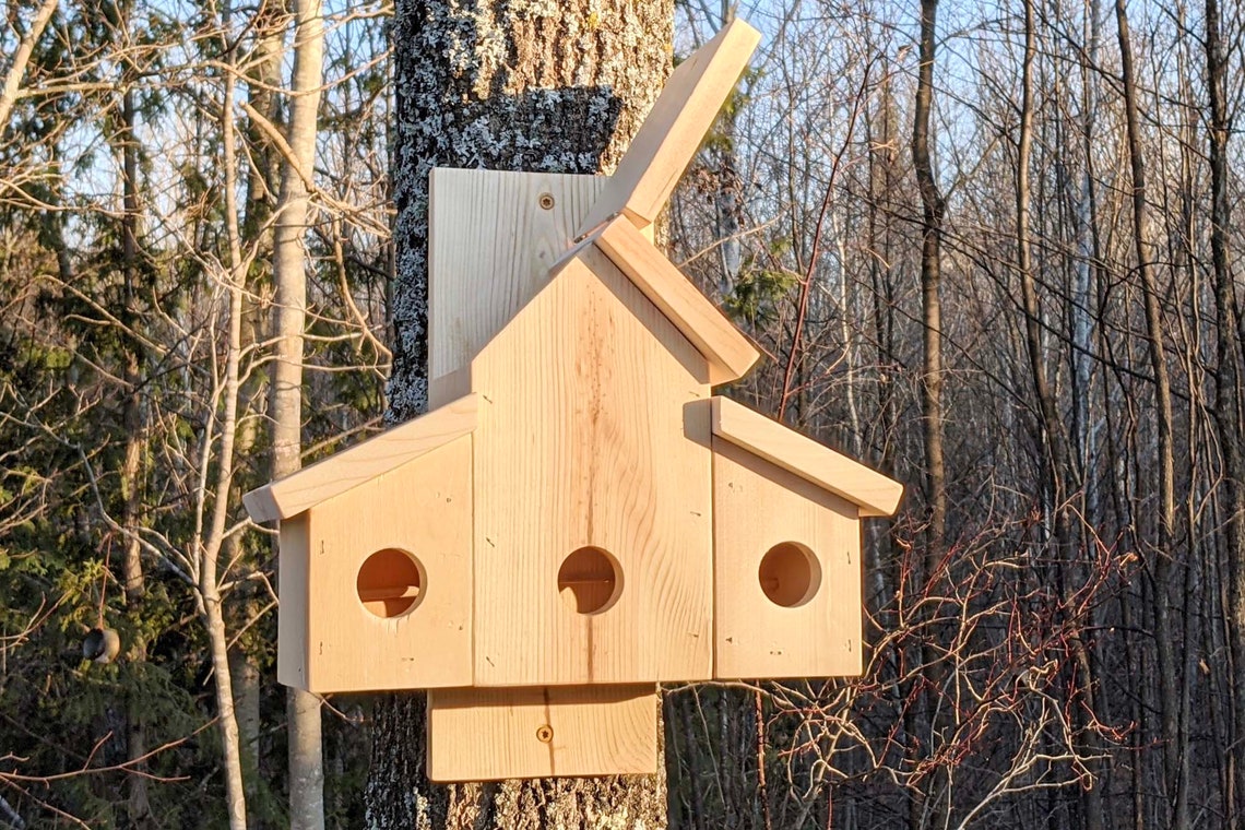 Dual Roost Box Winter Birdhouse Nest Box Bluebirds | Etsy