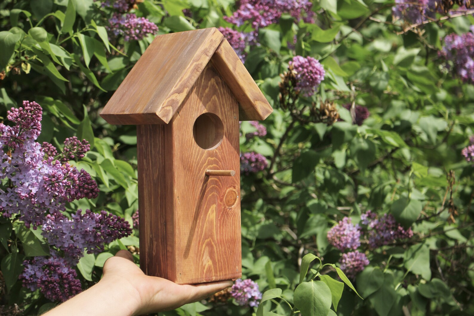 Mini Birdhouse Chickadee and Finch House Small Bird House Bird Perch ...