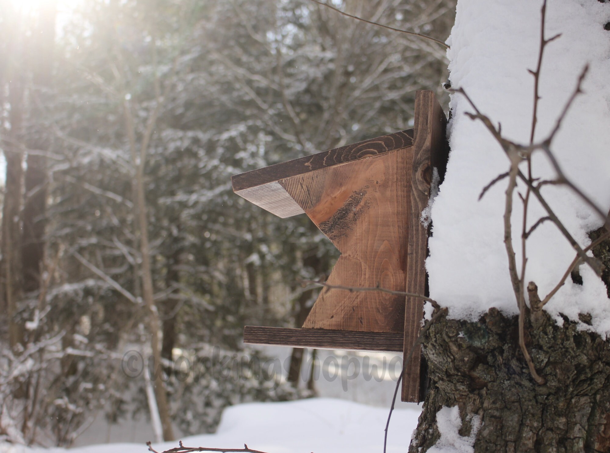 Bird Shelf With HD CAMERA Nesting Box Robin Nest Box Birdhouse With ...