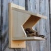 Bird Shelf Nesting Box Eastern Phoebe American Robin Mourning Dove - Etsy