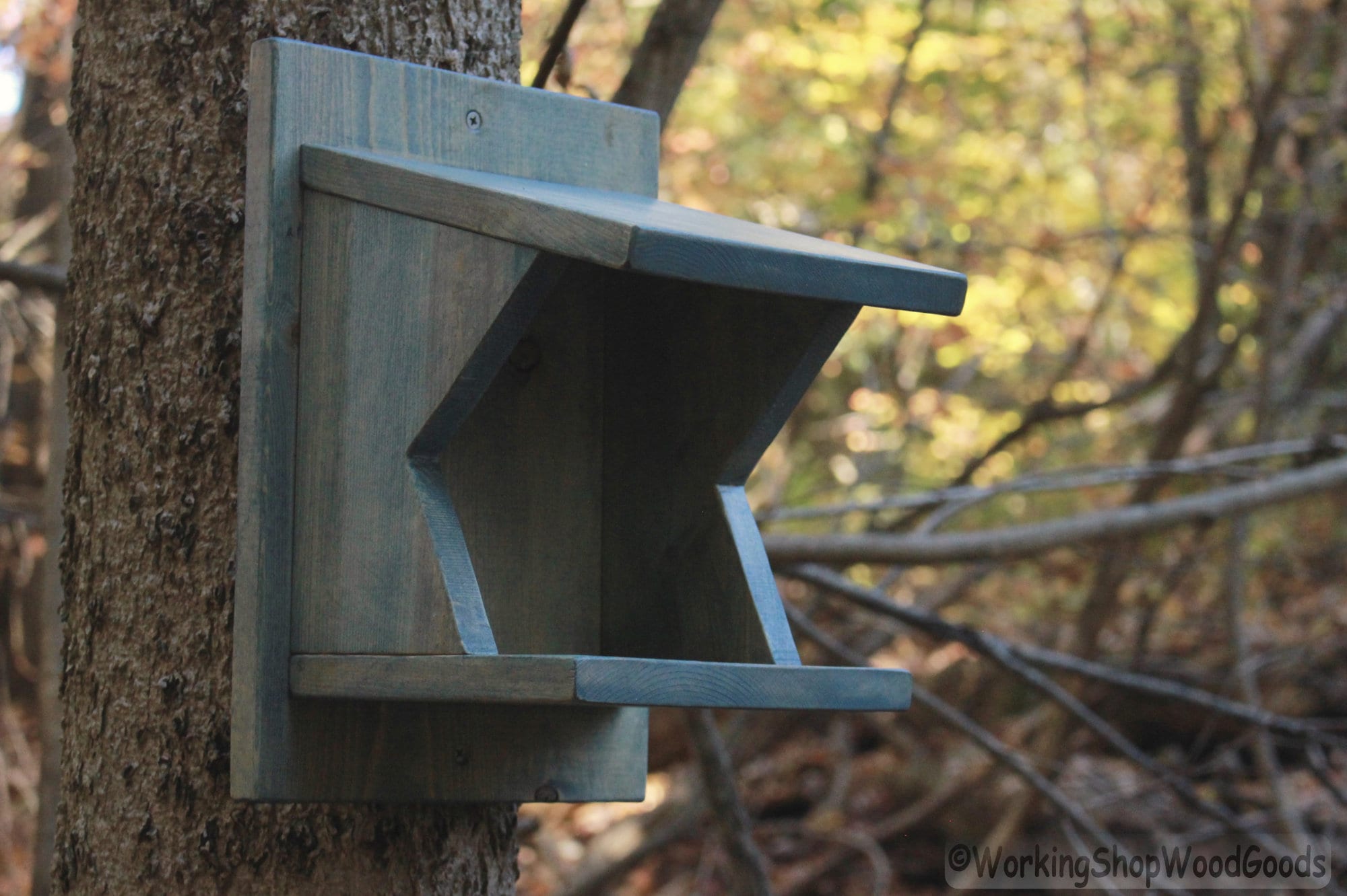 Bird Shelf - Nesting Box - Eastern Phoebe - American Robin - Mourning ...