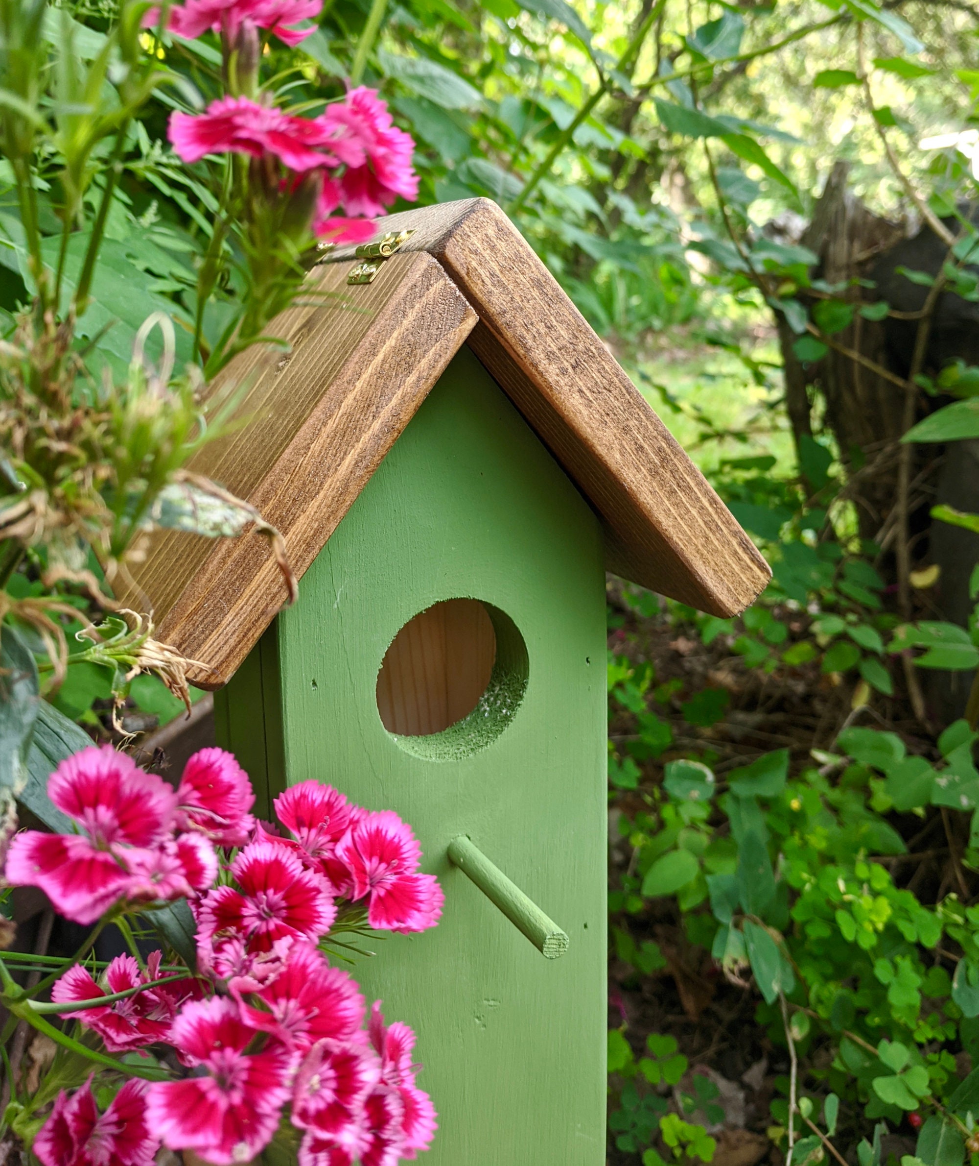 Mini Birdhouse Chickadee and Finch House Small Bird House Bird Perch ...
