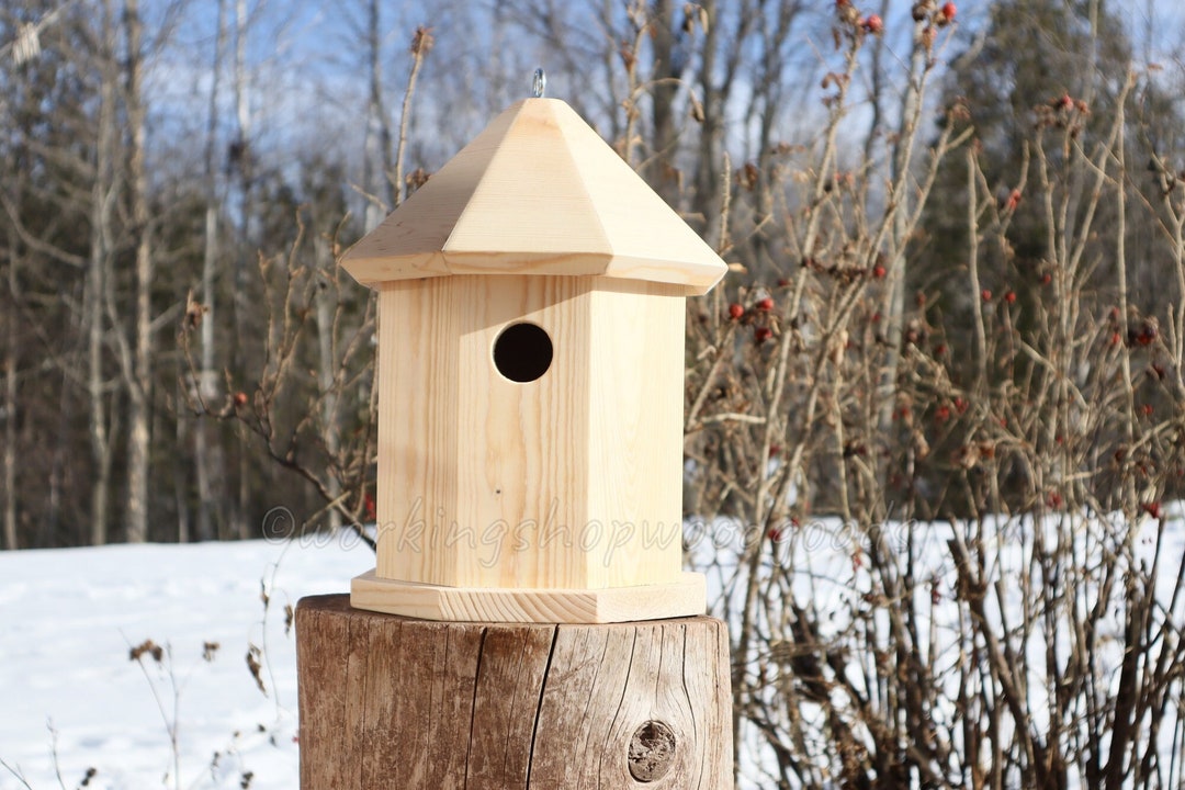 Octagon Birdhouse - Hanging Birdhouse for Chickadee - Wren House ...