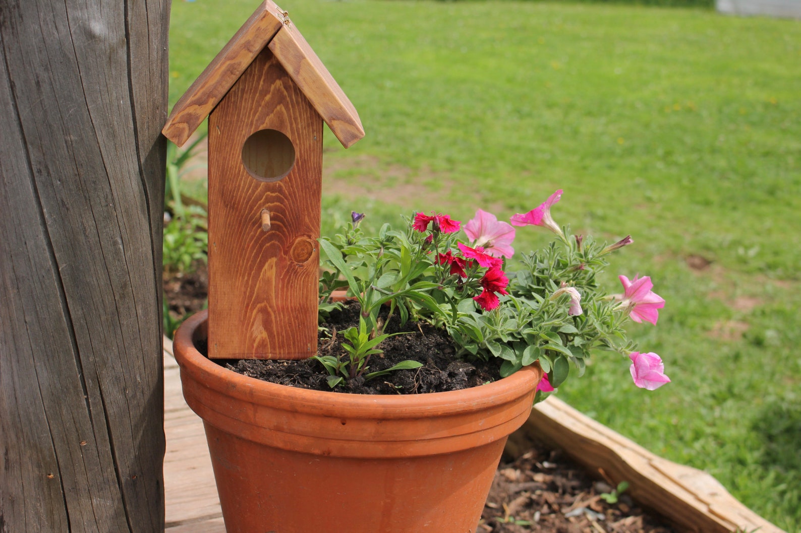 Mini Birdhouse Chickadee and Finch House Small Bird House Bird Perch ...