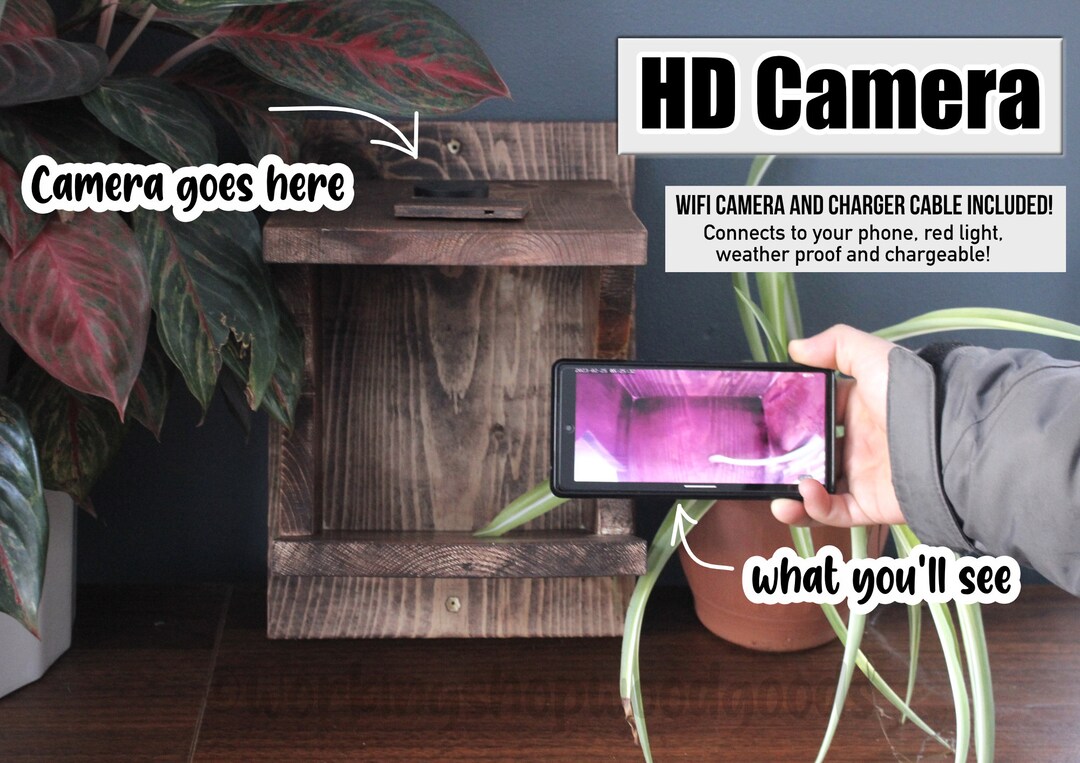 Bird Shelf With HD CAMERA! - Nesting Box - Robin Nest Box - Birdhouse ...
