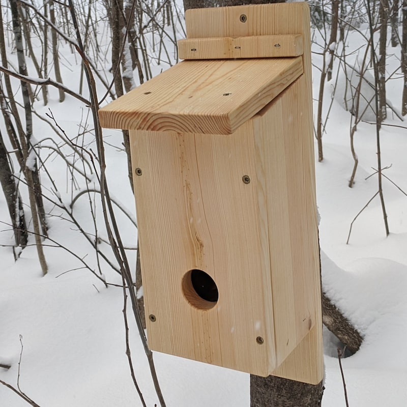 Wren Nest Box - Etsy