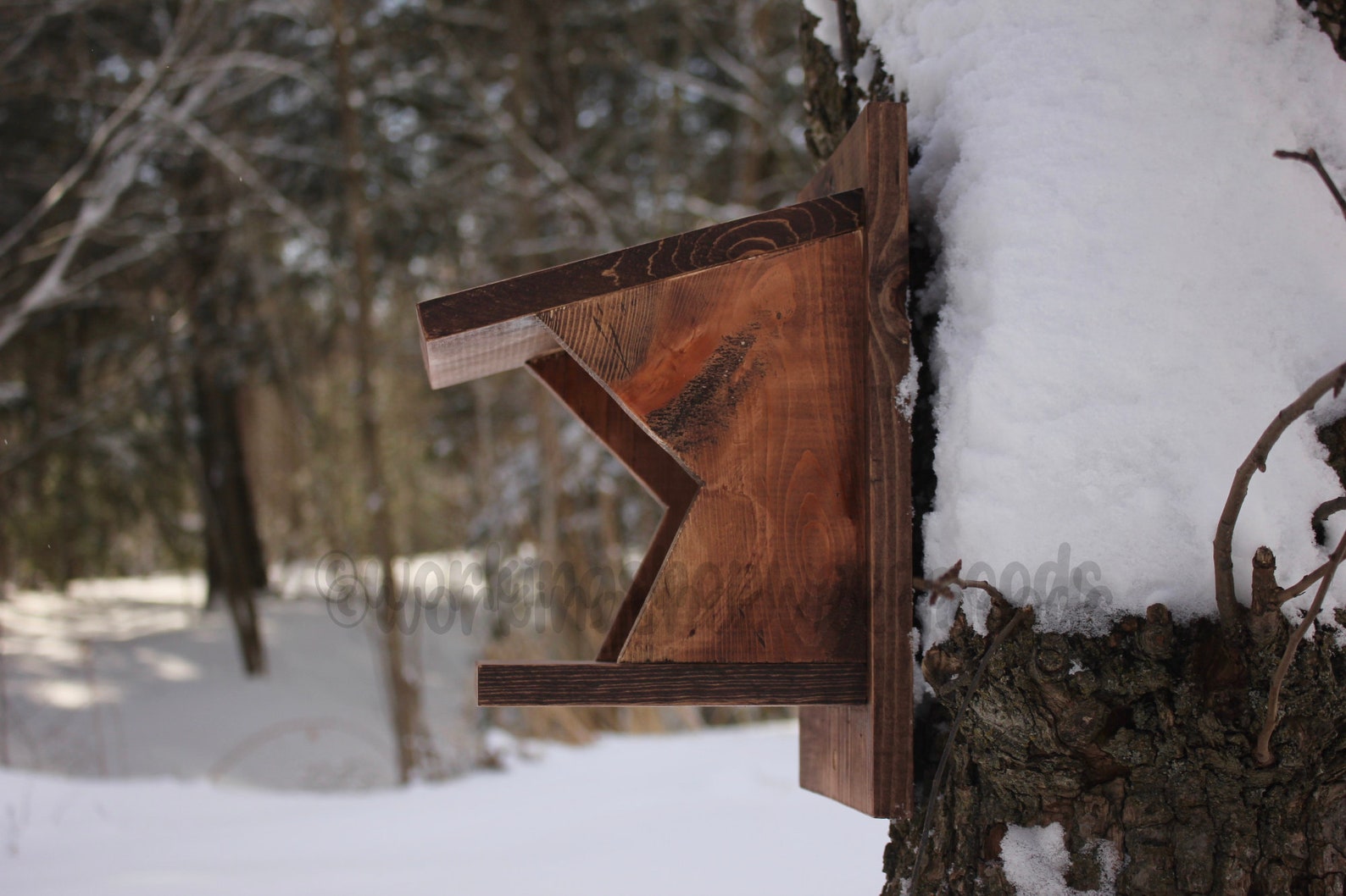 Nesting Box - Bird Shelf - American Robin - Eastern Phoebe - Morning ...