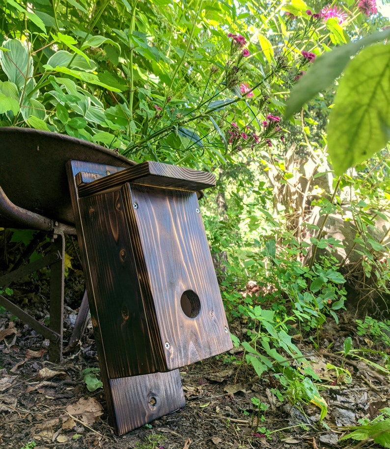 Roost Box - Bird Box - Nesting Box - Bluebird Birdhouse - Chickadee ...