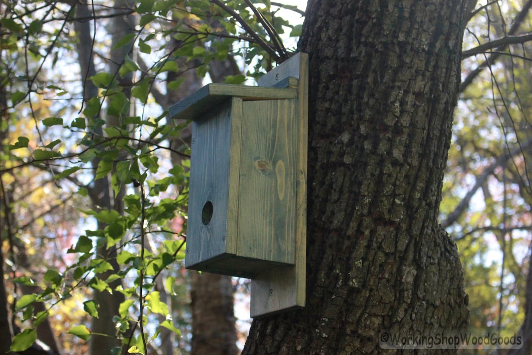 Roosting Box - Winter Roost Box - Nesting Box - Bluebird Birdhouse ...