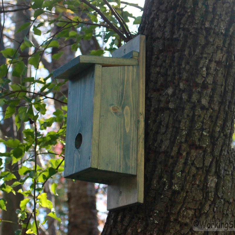 Squirrel House for Winter - Etsy