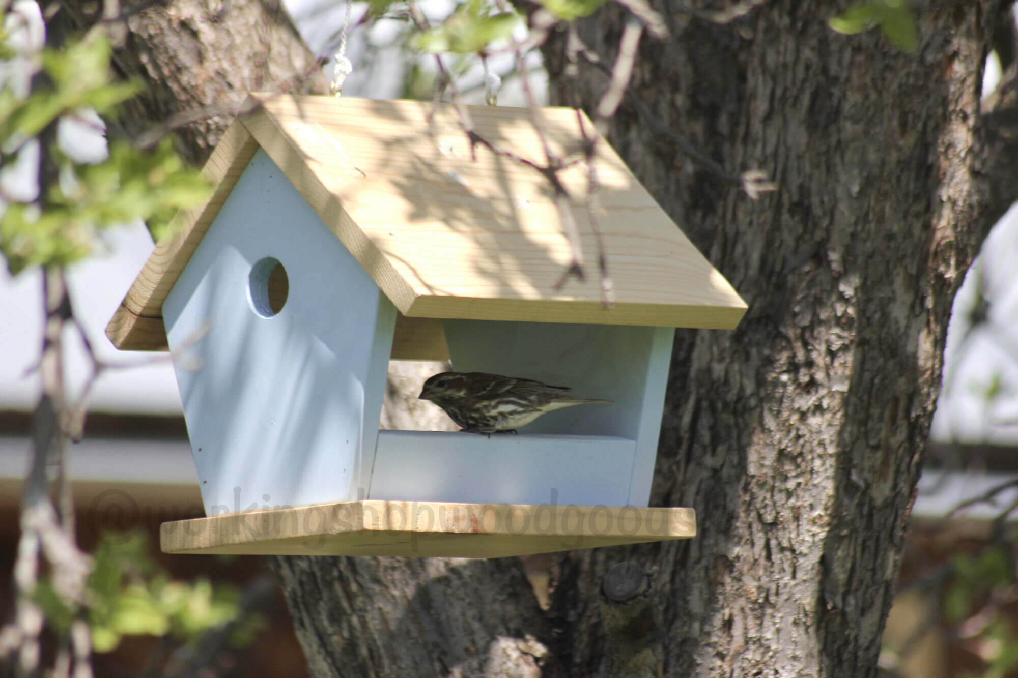 Hanging Bird Feeder - Outdoor Feeder Tray - Mounted Bird Feeder - Yard ...