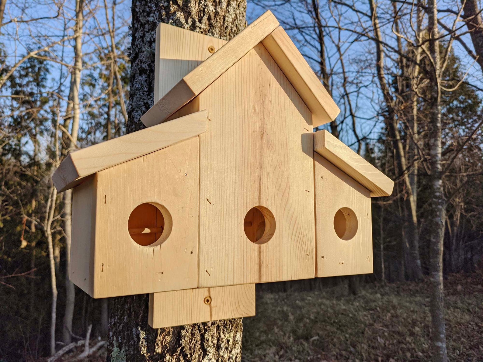 Dual Roost Box - Winter Birdhouse - Nest Box - Bluebirds - Chickadees ...