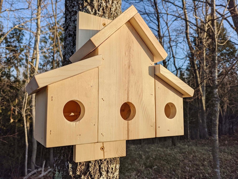 Dual Roost Box - Winter Birdhouse - Nest Box - Bluebirds - Chickadees ...