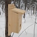 Roosting Box - Winter Roost Box - Nesting Box - Bluebird Birdhouse ...