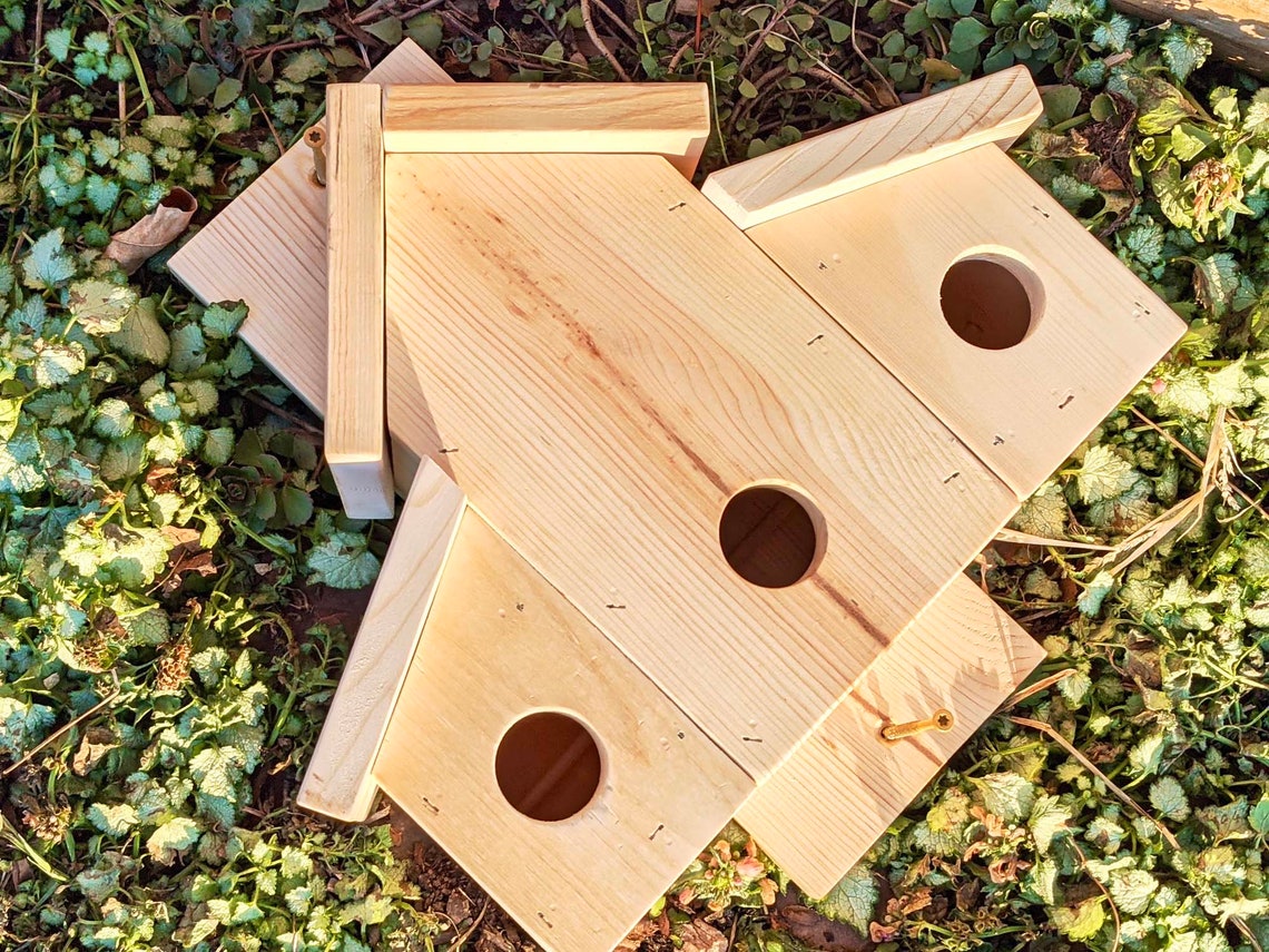 Dual Roost Box Winter Birdhouse Nest Box Bluebirds Chickadees - Etsy