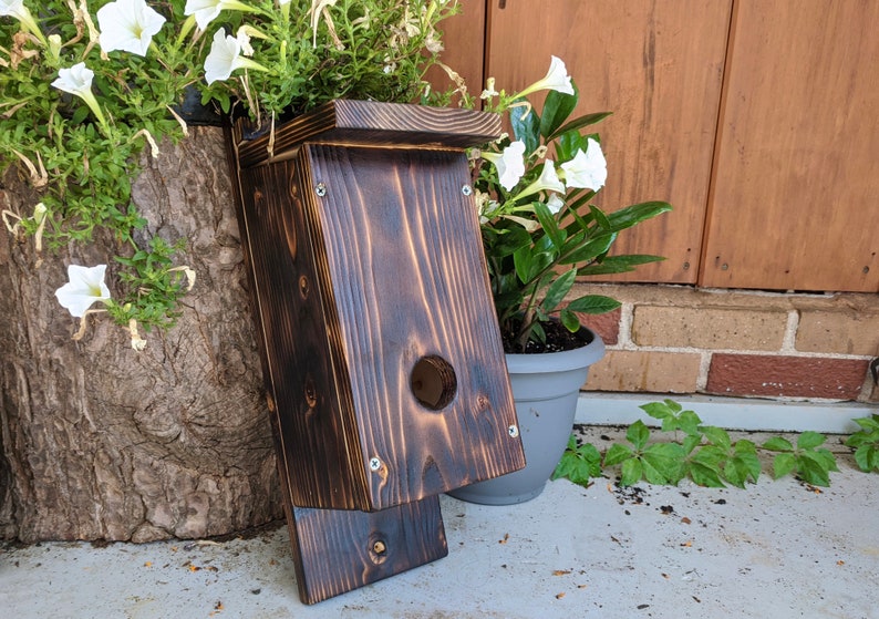 Roost Box - Bird Box - Nesting Box - Bluebird Birdhouse - Chickadee ...