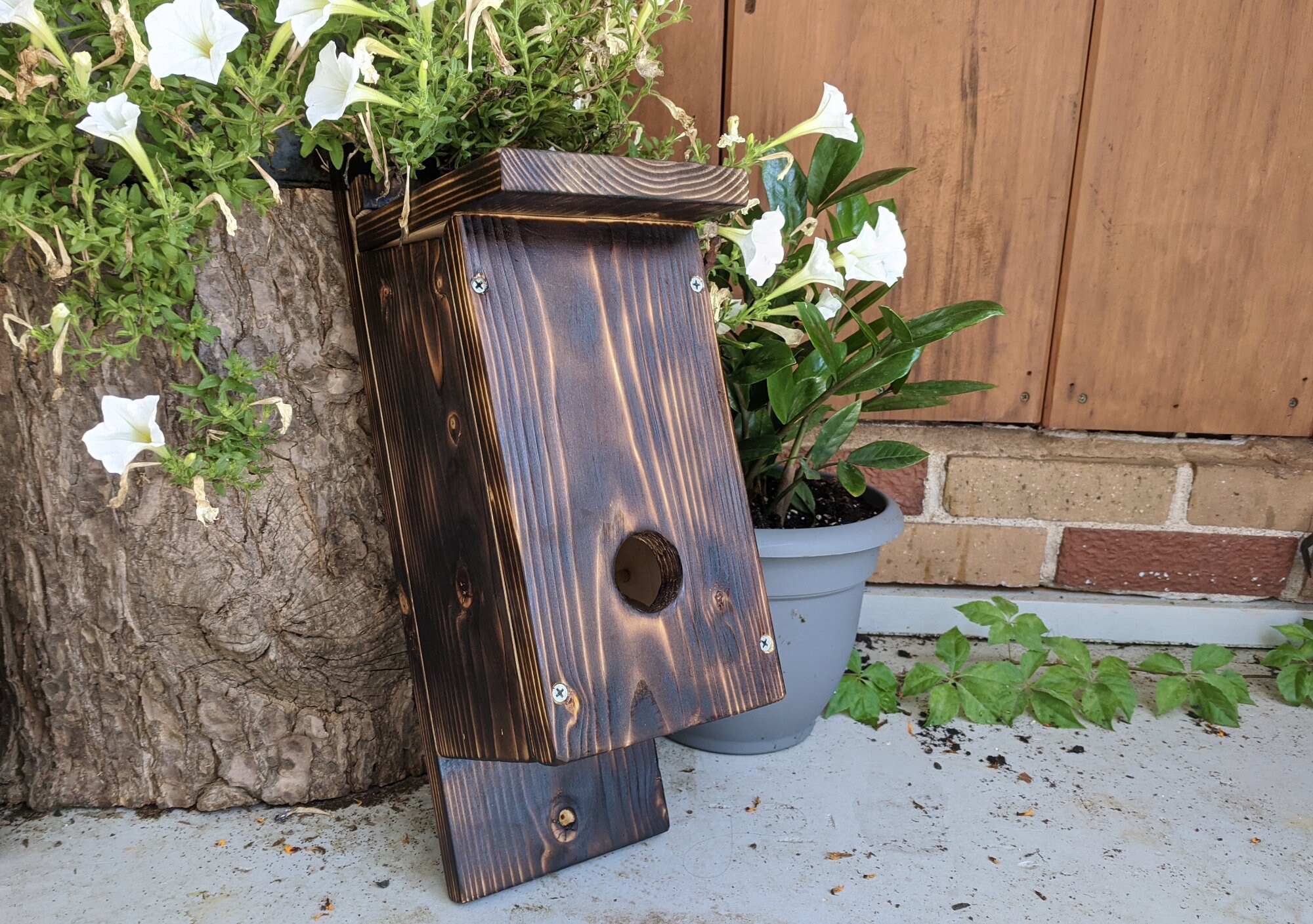 Roost Box - Bird Box - Nesting Box - Bluebird Birdhouse - Chickadee ...