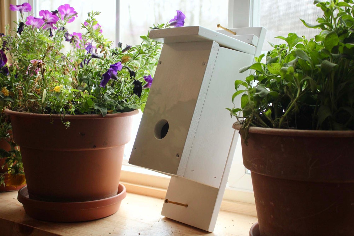 Roosting Box Winter Roost Box Nesting Box Bluebird Birdhouse Tree ...