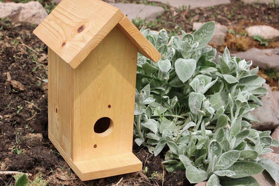 Birdhouse Nest Box - Nesting Box - Birdhouse for Nesting Birds - Custom ...