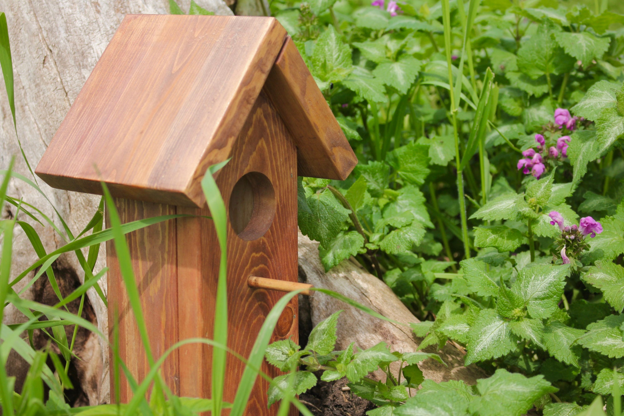 Mini Birdhouse Chickadee and Finch House Small Bird House Bird Perch ...