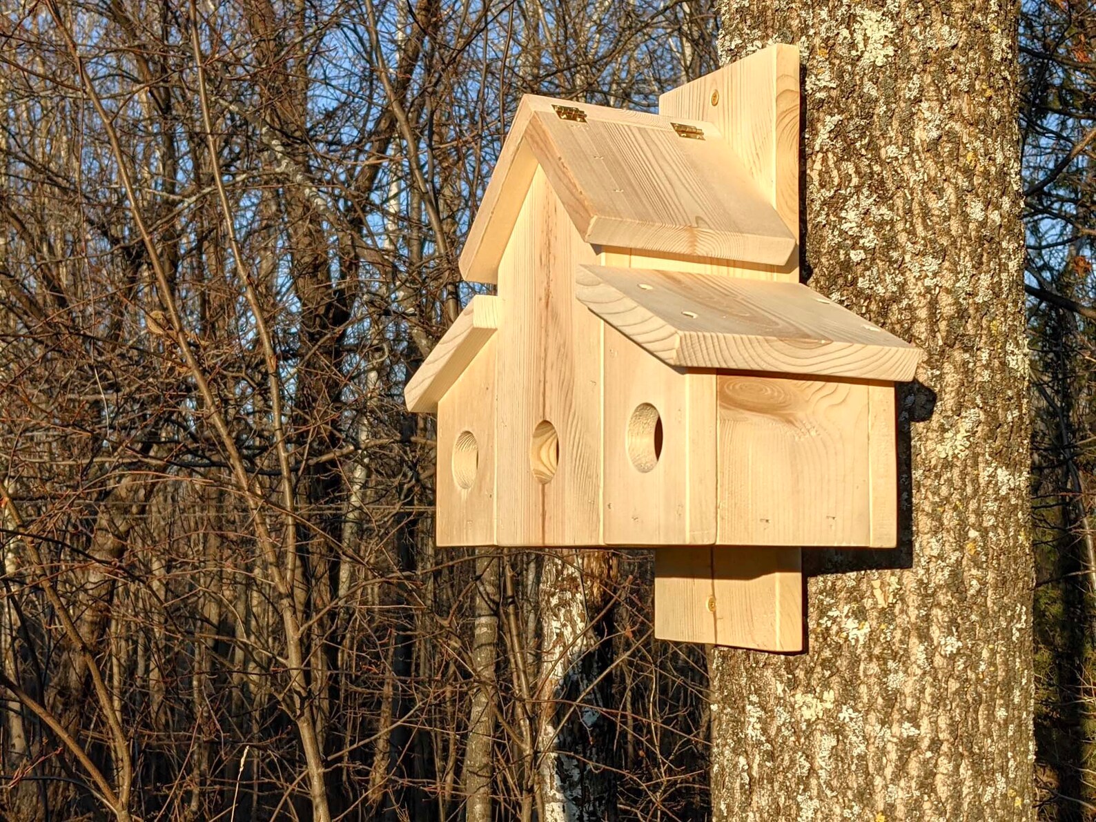 Dual Roost Box - Winter Birdhouse - Nest Box - Bluebirds - Chickadees ...