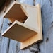Bird Shelf Nesting Box Eastern Phoebe American Robin Mourning Dove - Etsy